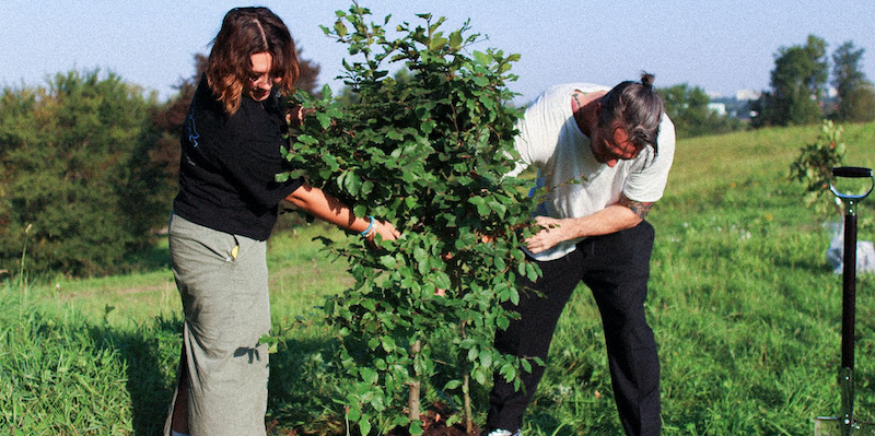 Denmark's NorthSide reveals tree planting scheme | IQ Magazine
